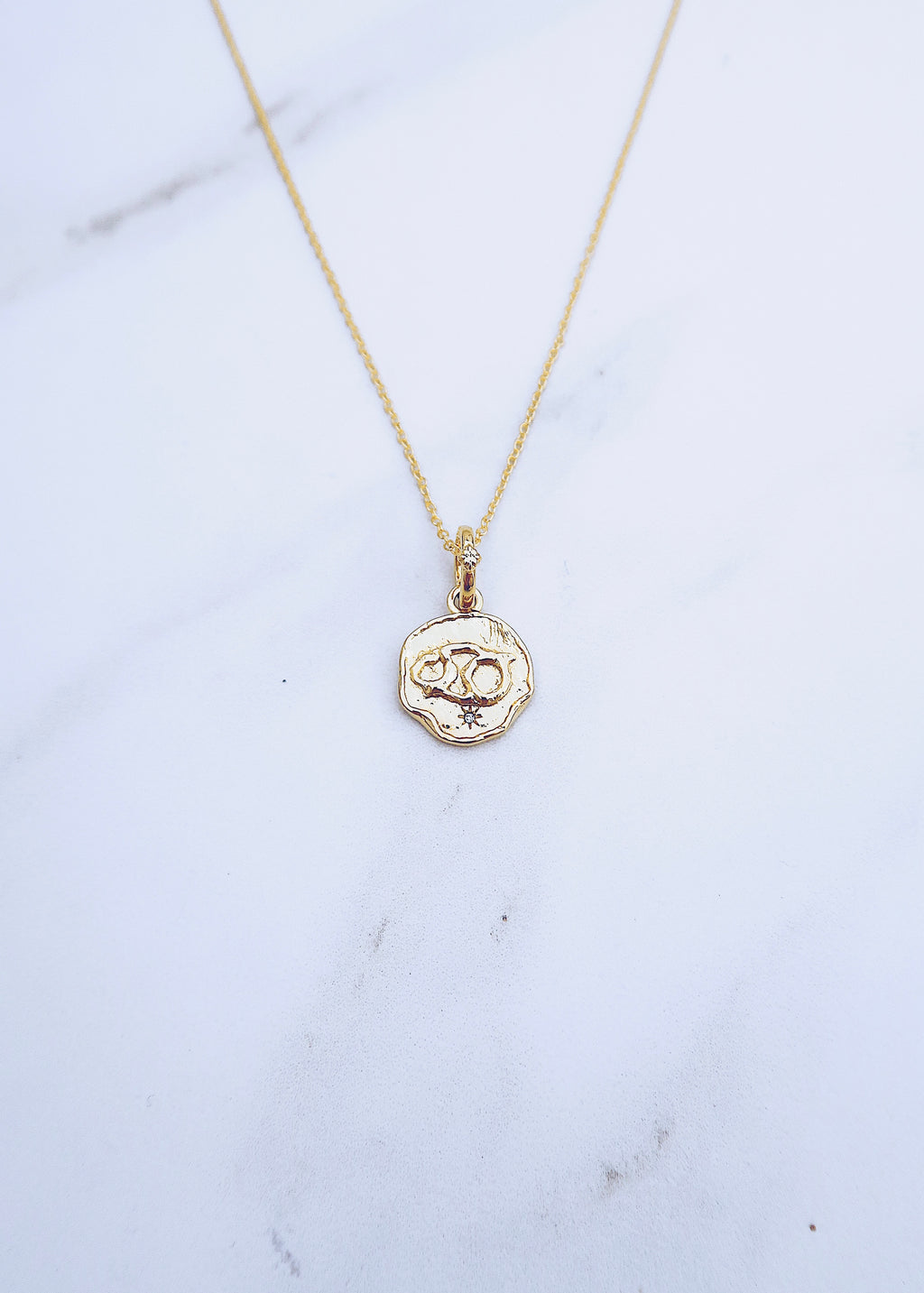 Cancer Coin Necklace – Ten Wilde